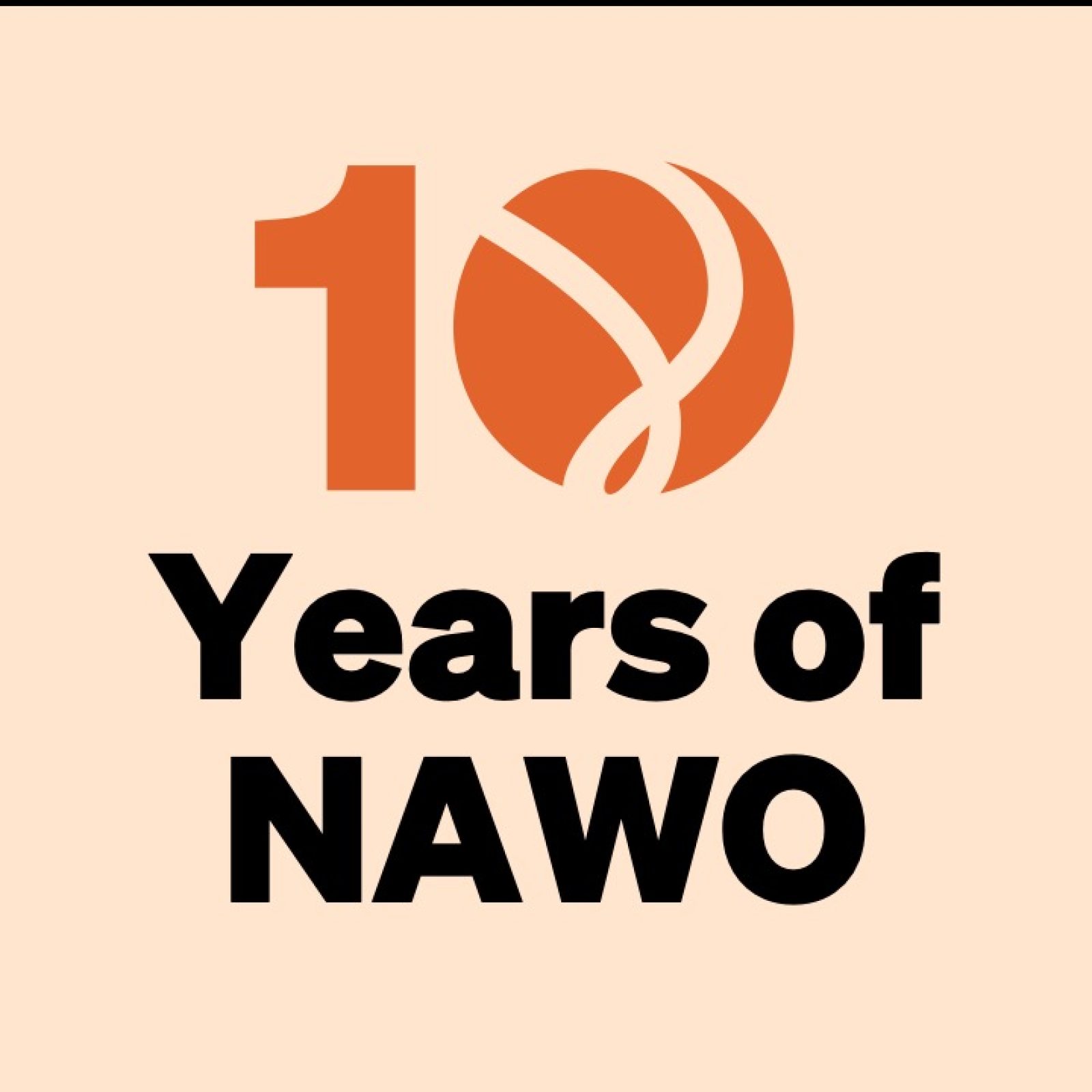 Celebrating 10 Years of NAWO – NAWO
