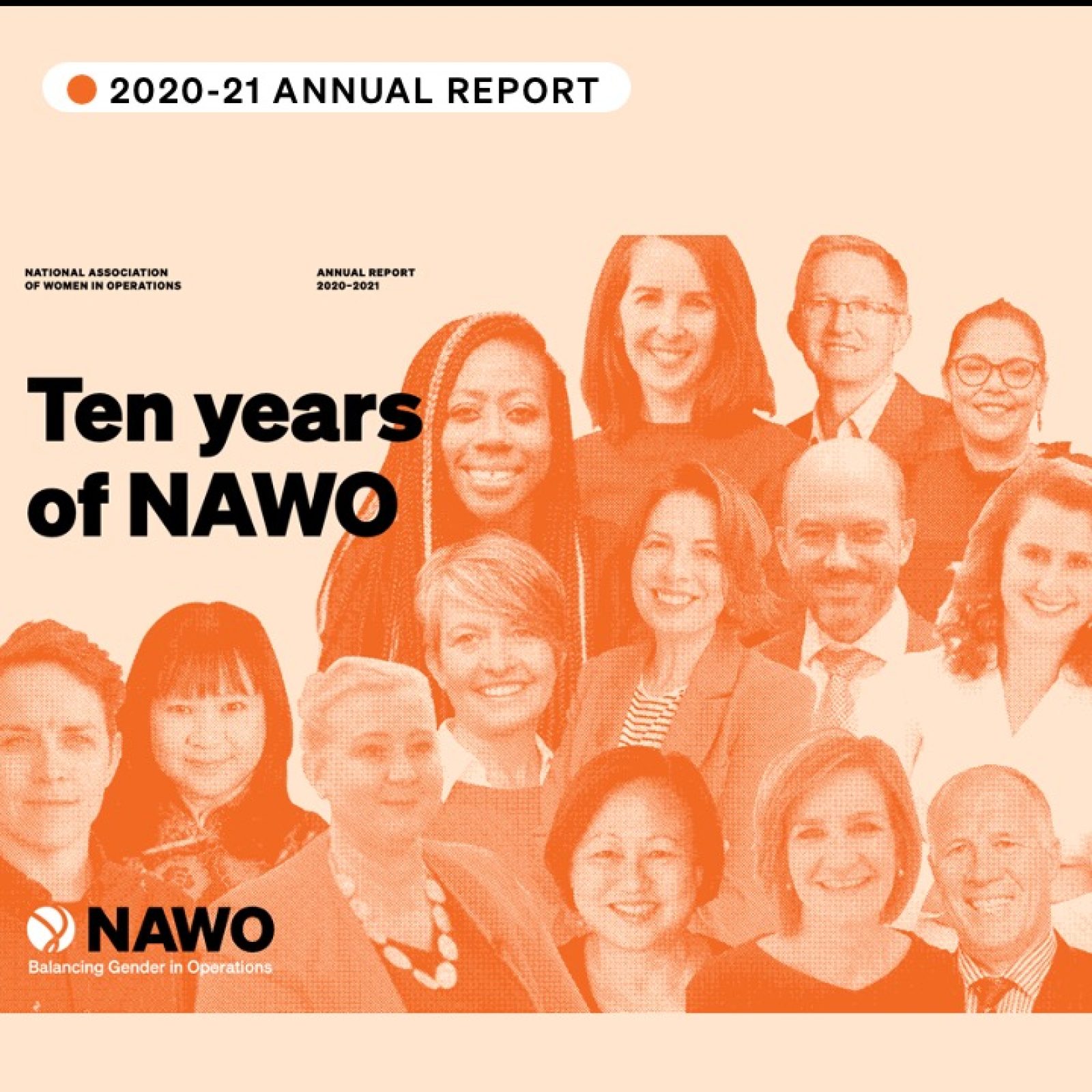 Our Annual Report is now ready – NAWO