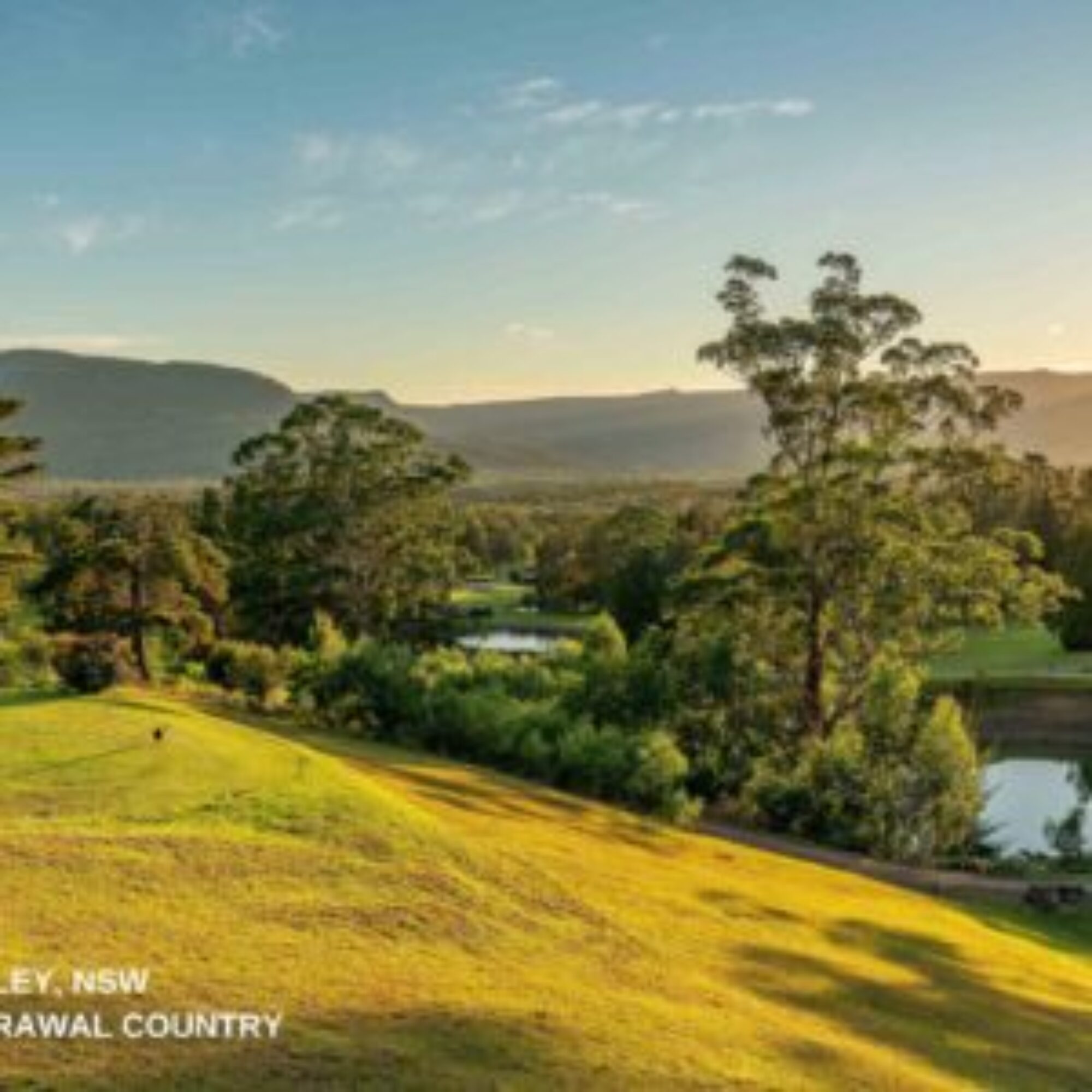 What NAWO is preparing for in early 2024 – NAWO