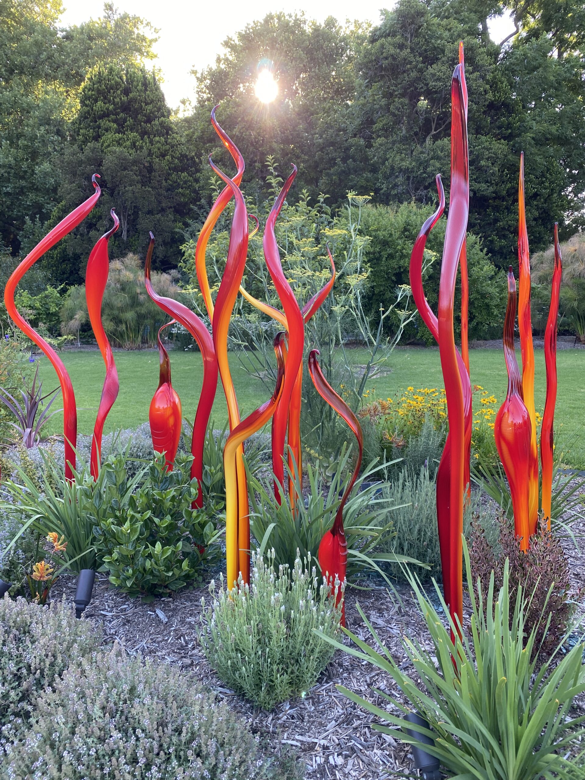 Walk & Talk with NAWO in Adelaide – NAWO