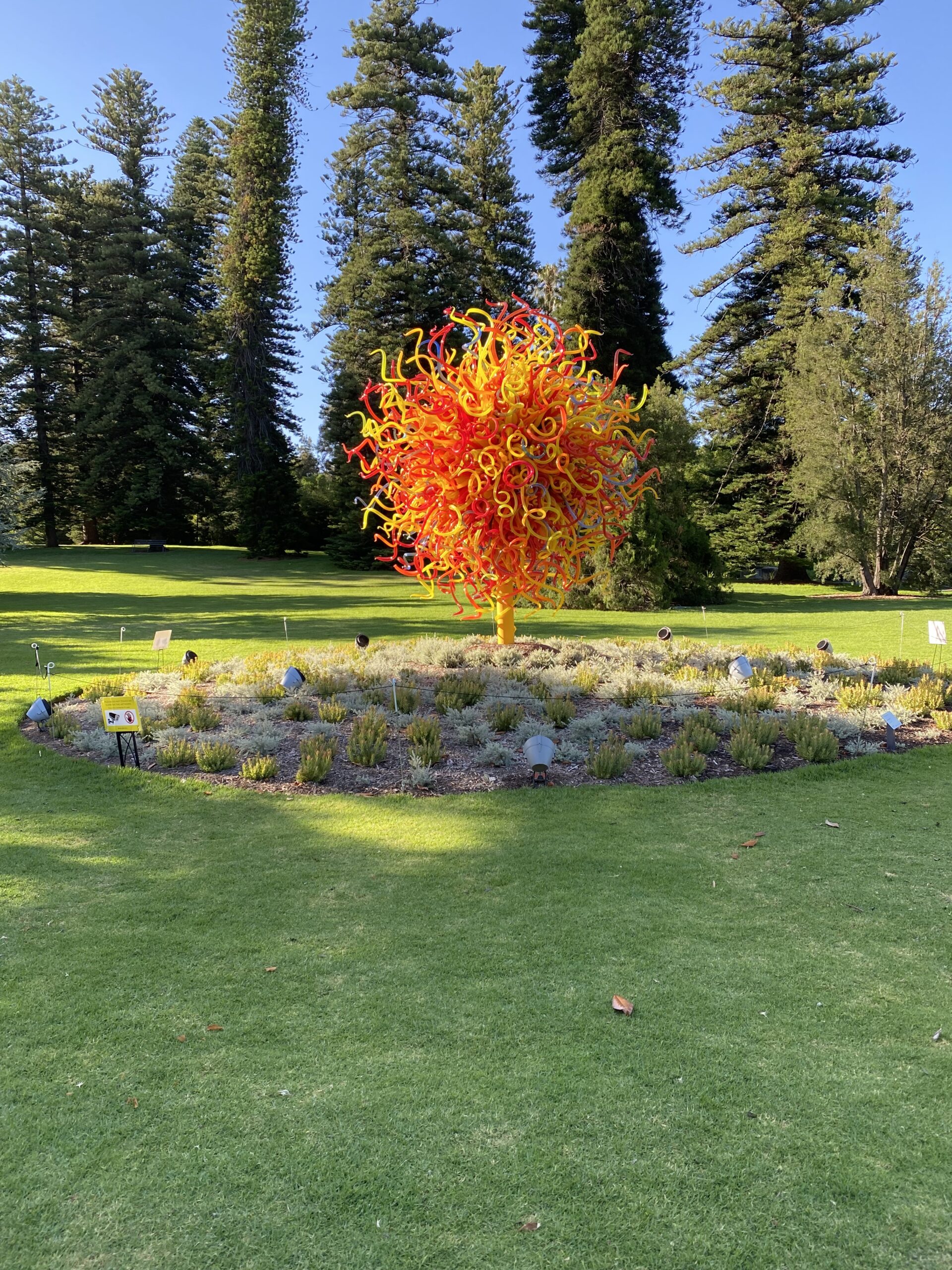 Walk & Talk with NAWO in Adelaide – NAWO