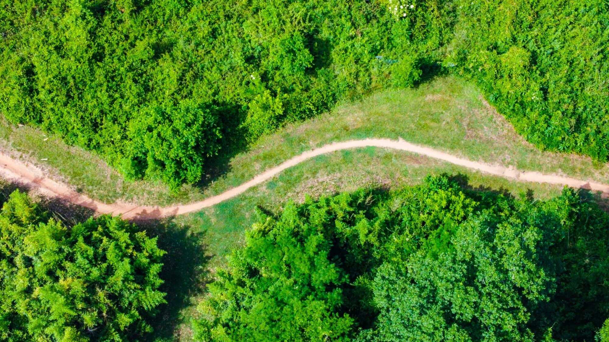 Operation Respect: Pathways to Recovery – Restorative Practices for ...