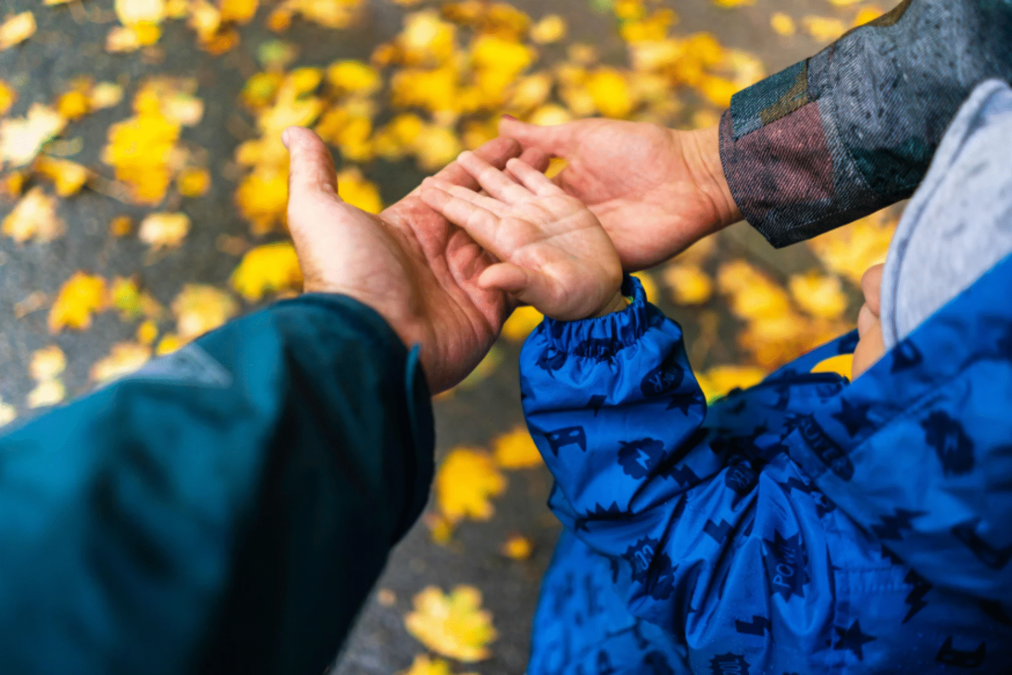 What’s On – NAWO